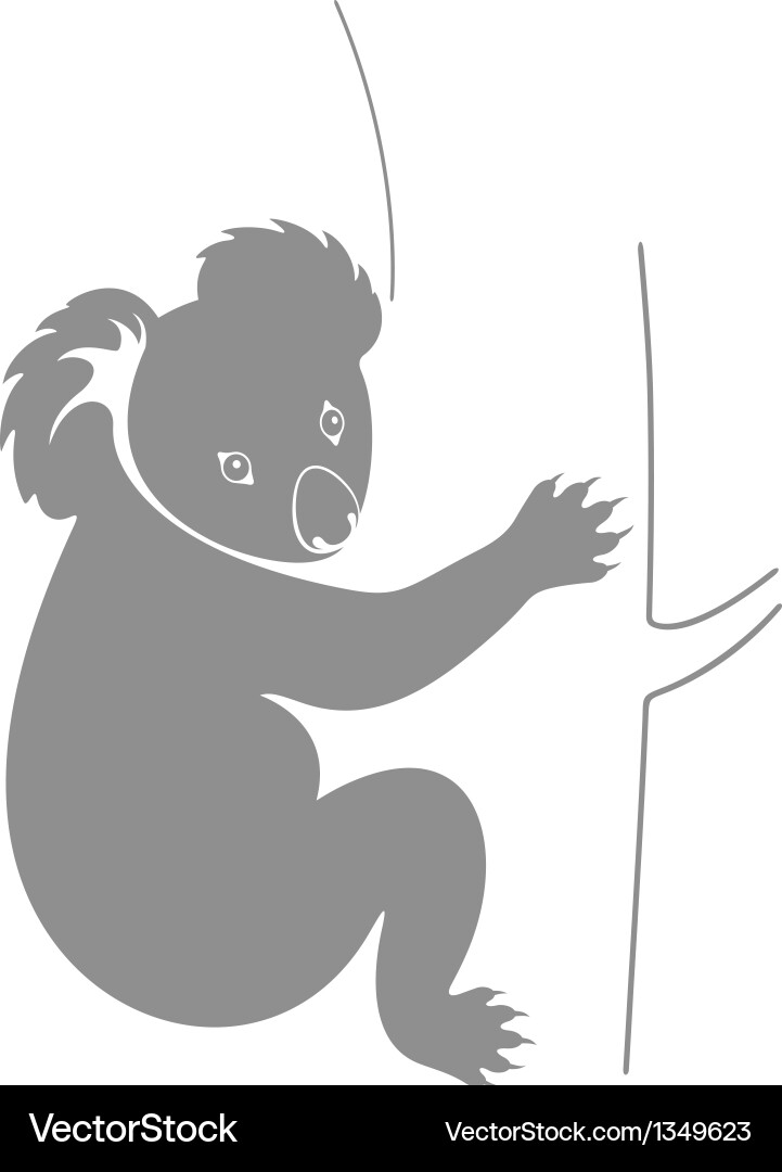 Koala Royalty Free Vector Image - VectorStock
