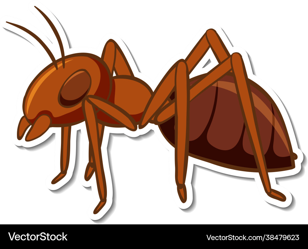 Red Ant Sticker Template Royalty Free Vector Image