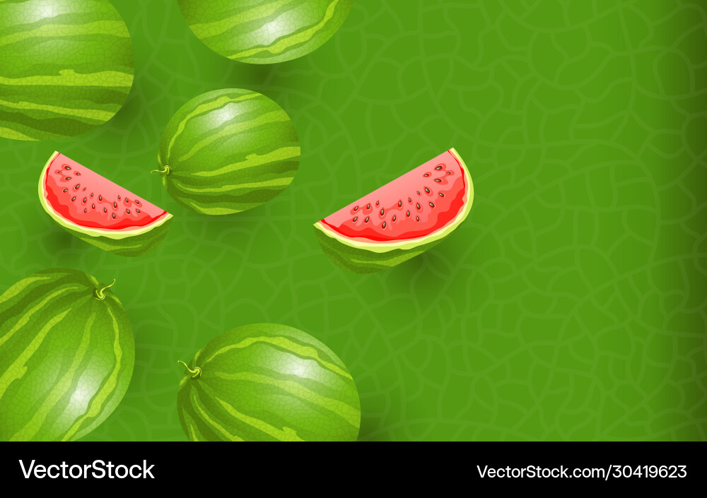 Watermelon background Royalty Free Vector Image