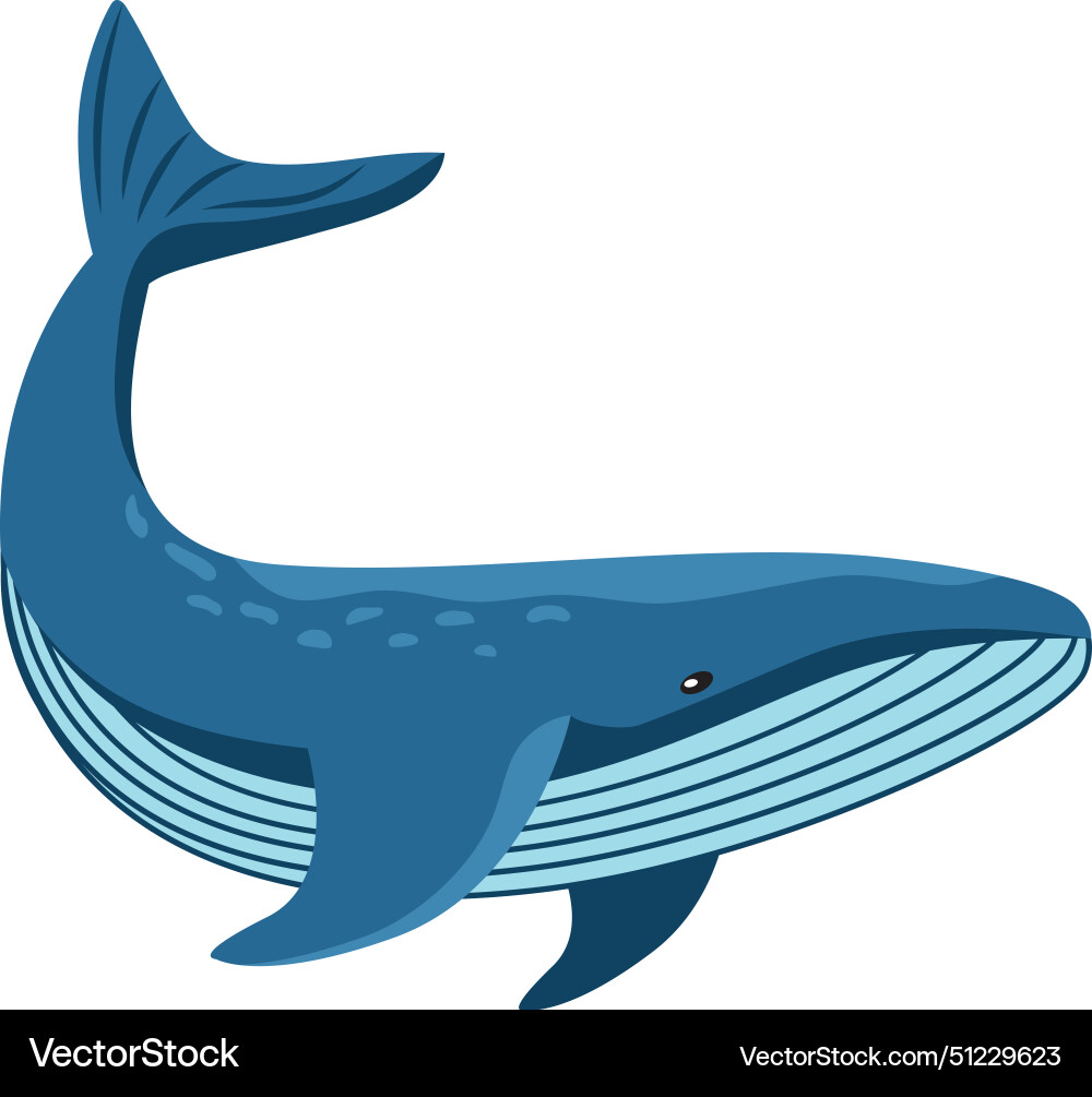 Whale animal cartoon Royalty Free Vector Image