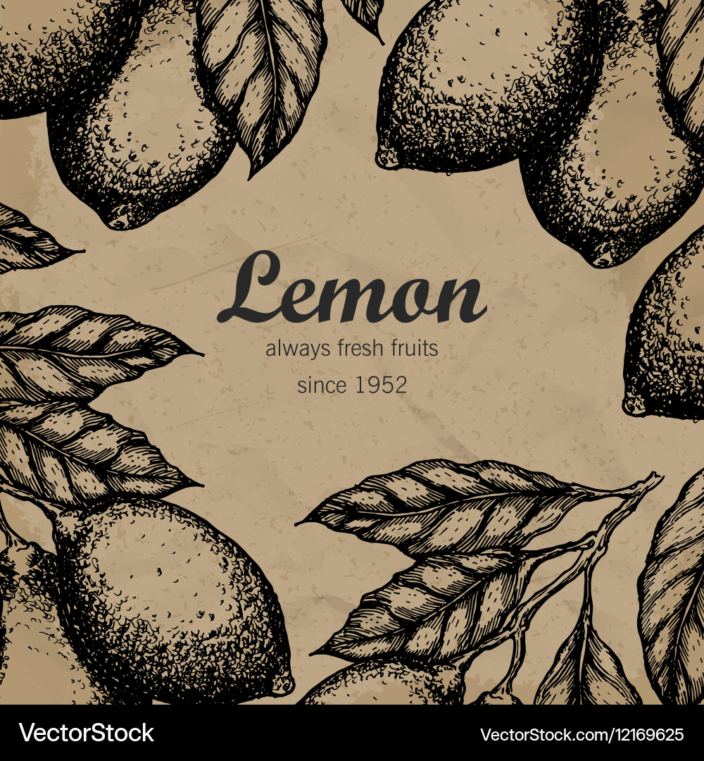 Lemon tree design template hand drawn fruit Vector Image