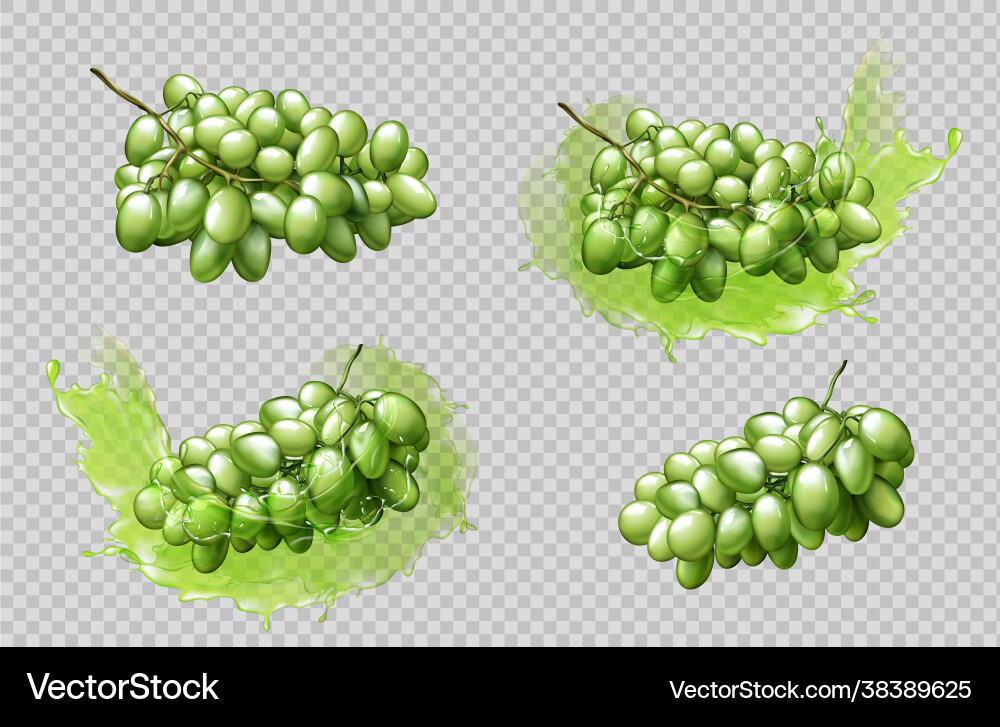 Realistic grapes bunches and splashes set isolated