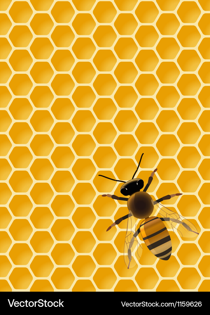 Bee on honeycomb Royalty Free Vector Image - VectorStock