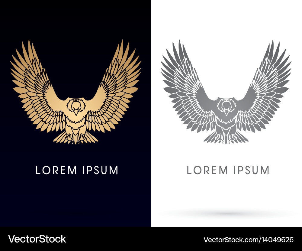 Eagle fly front view Royalty Free Vector Image