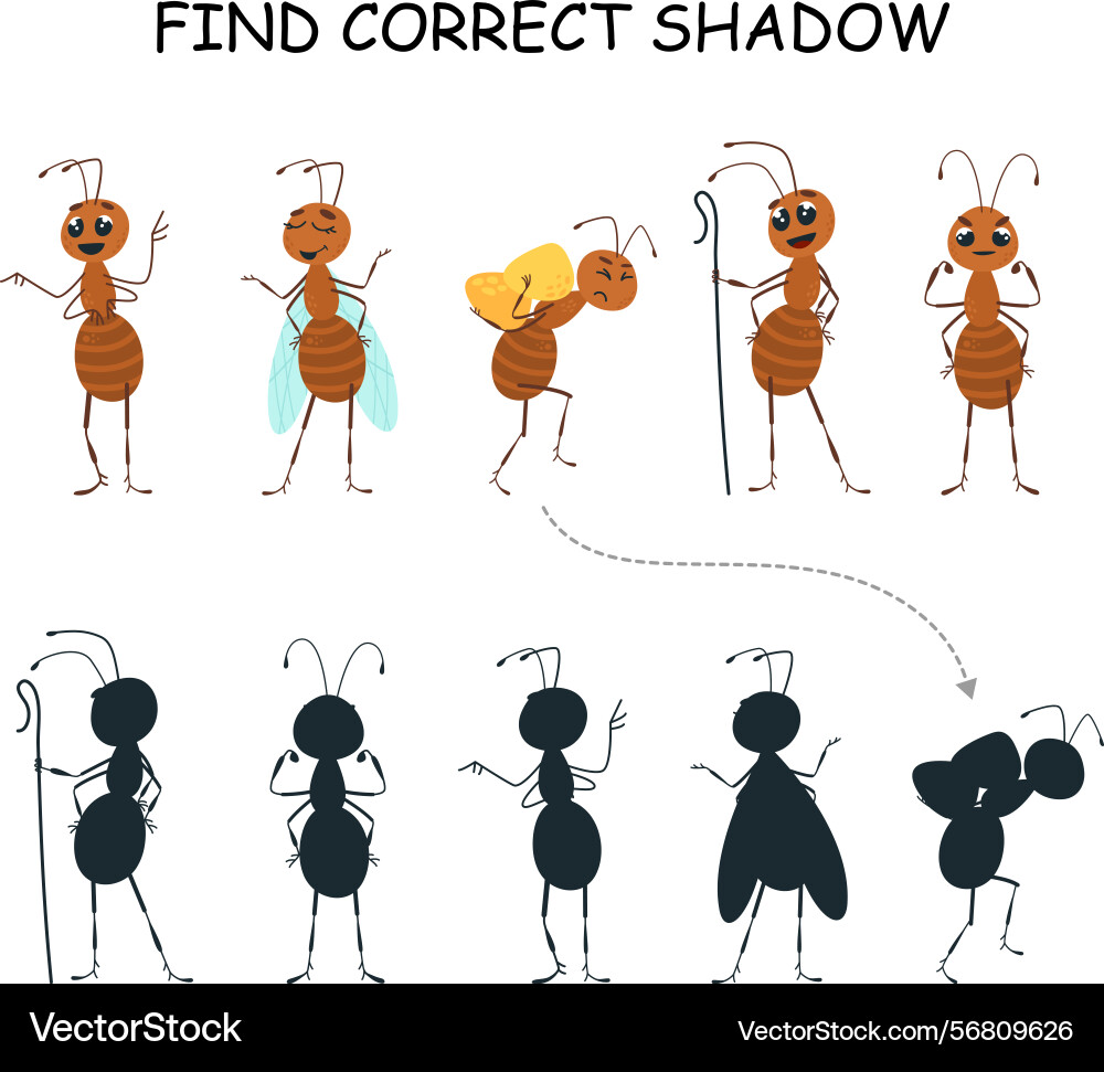 Find correct shadow children play educational Vector Image