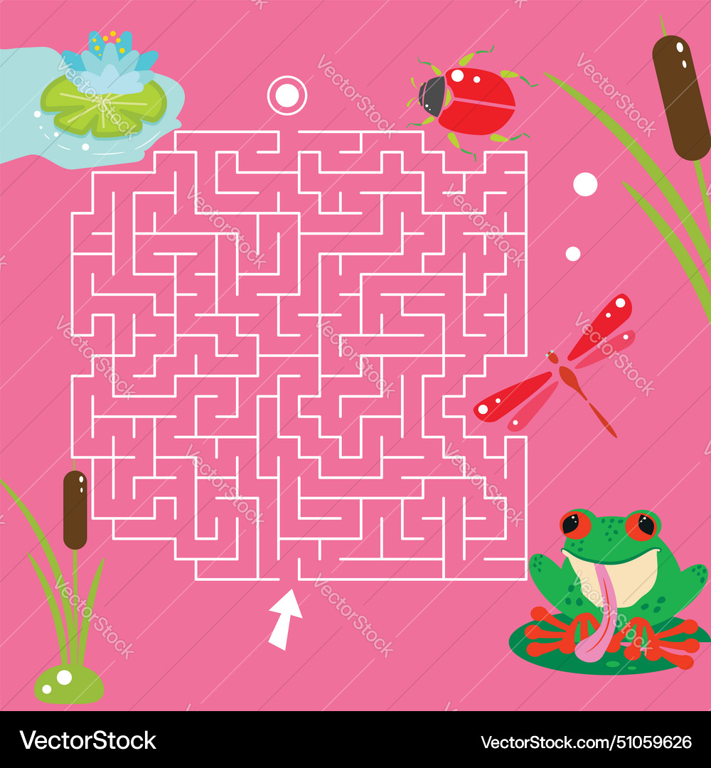 Maze game labyrinth pond Royalty Free Vector Image