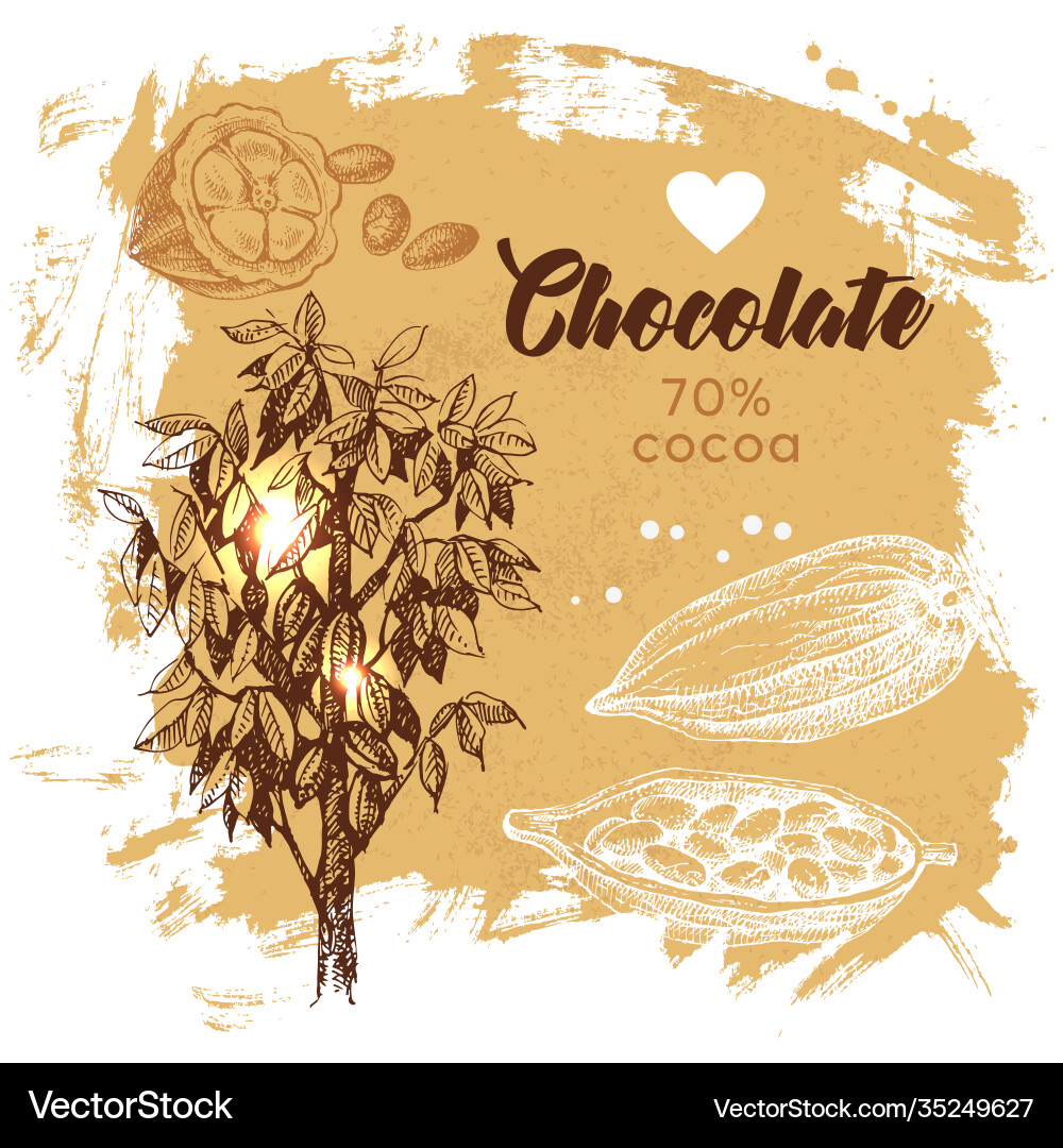 Hand drawn sketch cocoa chocolate product Vector Image