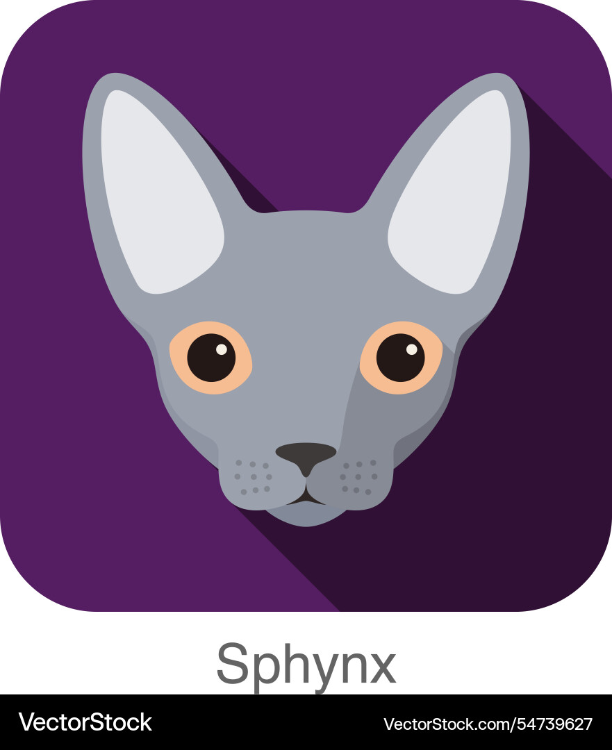 Sphynx cat breed face cartoon flat icon design Vector Image
