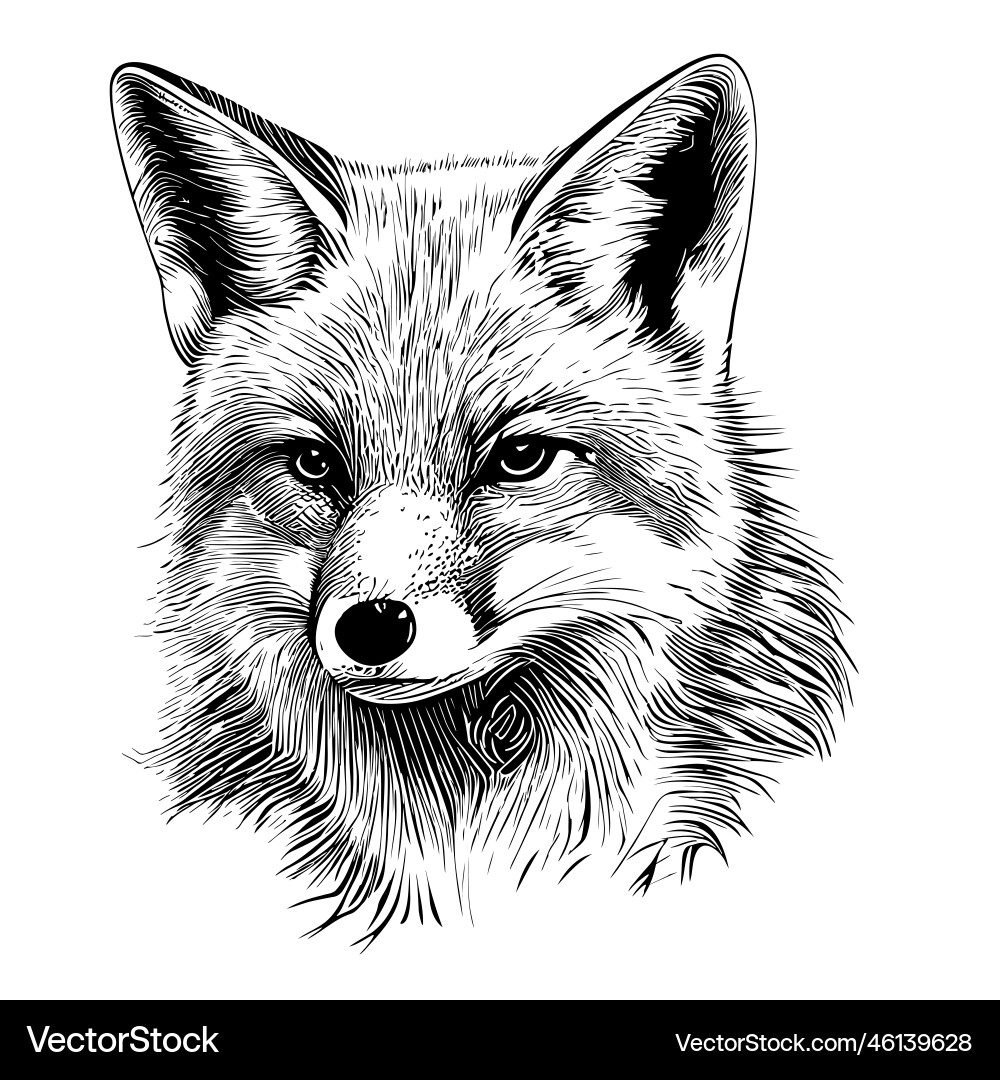 Fox face sketch hand drawn in doodle style Vector Image