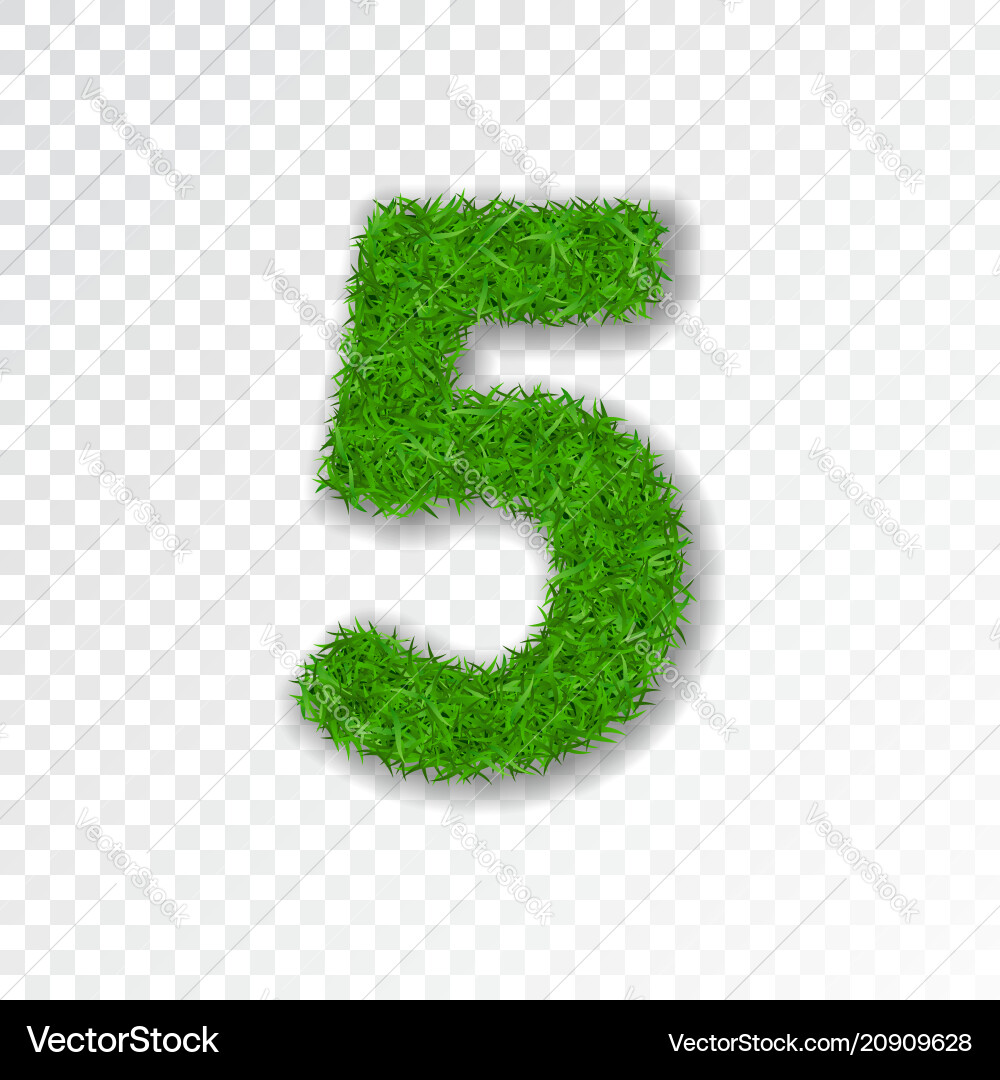 Grass number five green isolated Royalty Free Vector Image