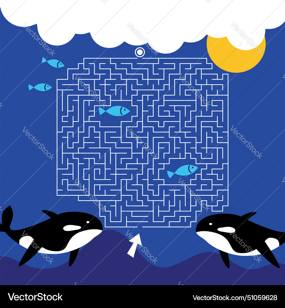 Maze game labyrinth whales Royalty Free Vector Image