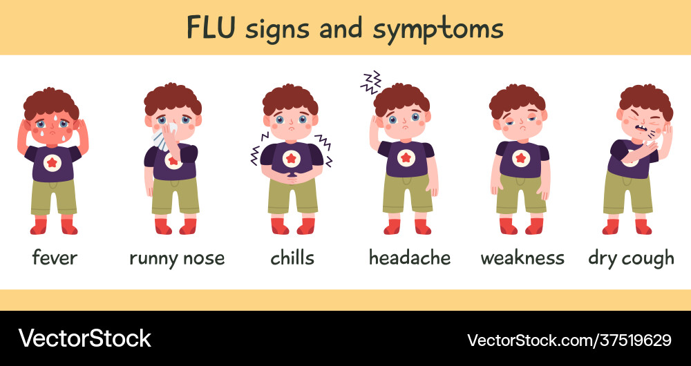 Flu symptoms infographic disease cold Royalty Free Vector