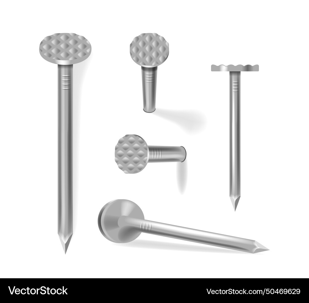 Realistic new nails and hammered into wall Vector Image