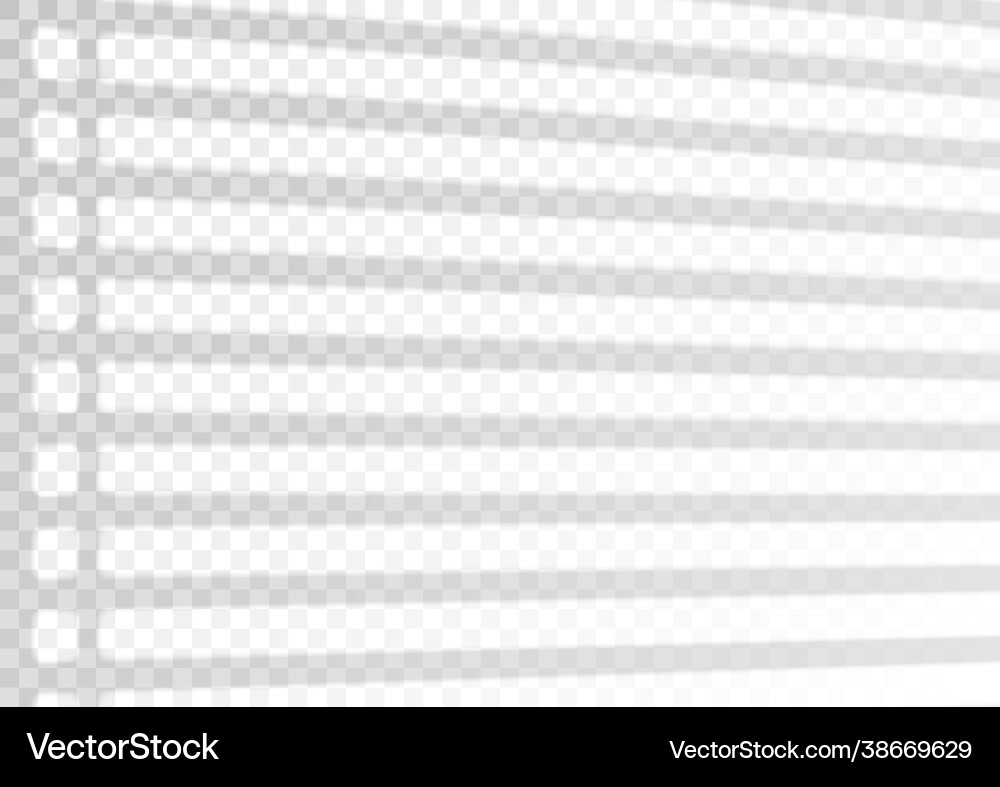 Transparent overlay window and blinds shadow Vector Image