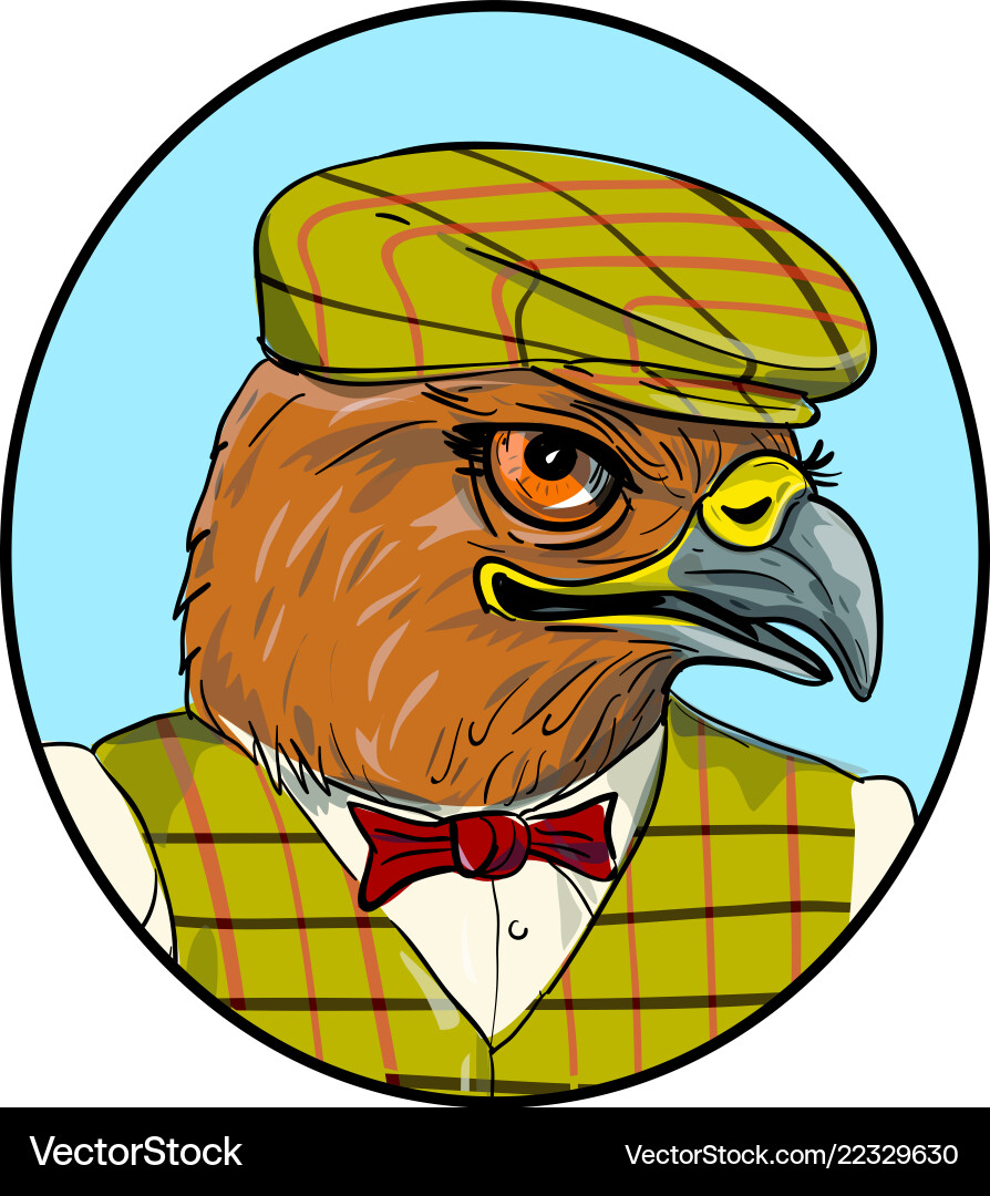 Outdoorsman hawk head drawing Royalty Free Vector Image