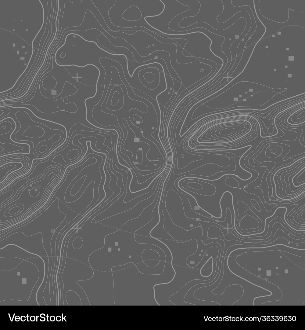 Seamless topographic map background line Vector Image