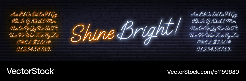 Shine bright neon text on brick wall background Vector Image