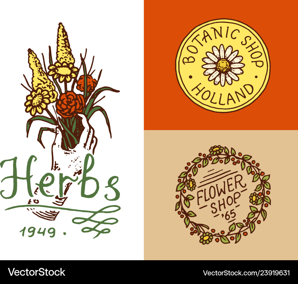 Flower shop emblems and bright logo vintage Vector Image