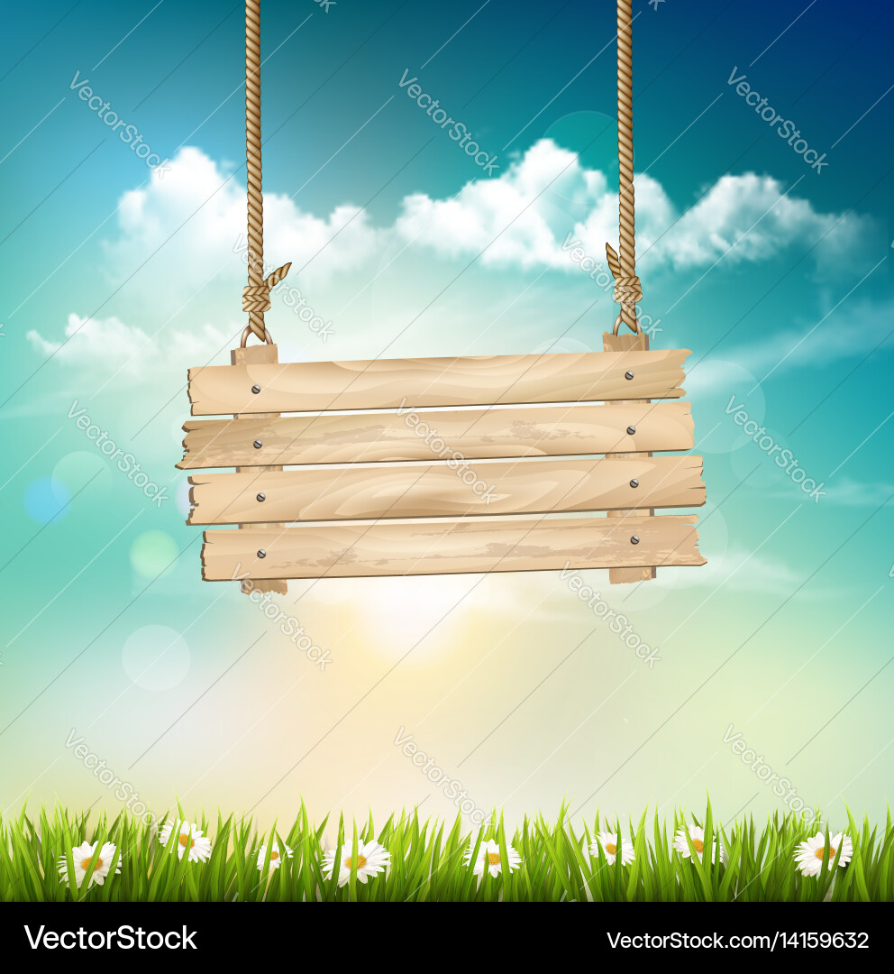 Spring nature background with green grass Vector Image