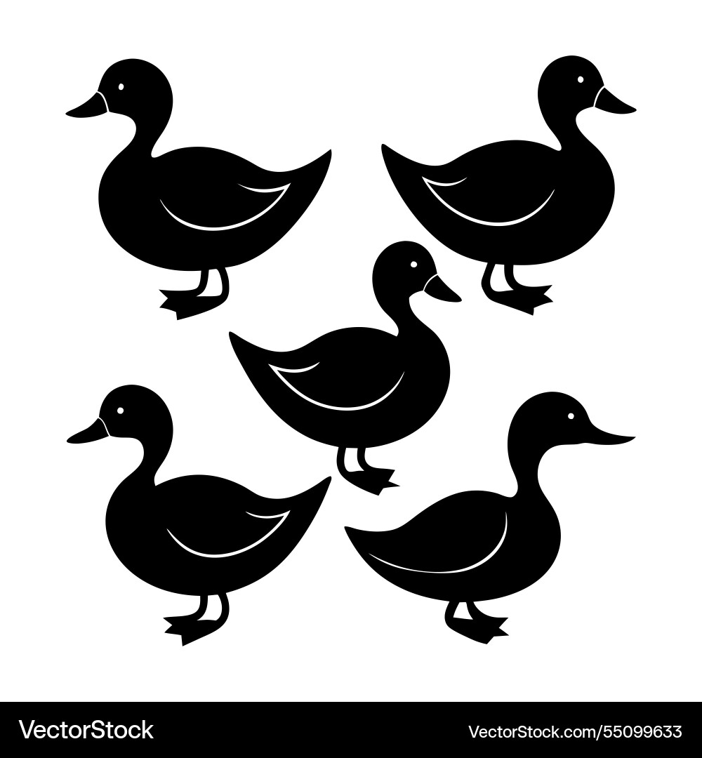 Black duck art for nature-inspired themes Vector Image