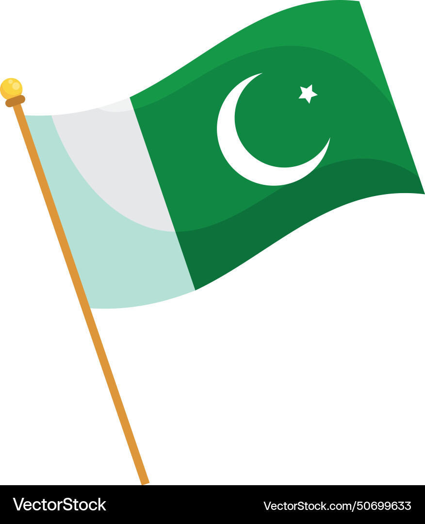 Pakistan day national flag Royalty Free Vector Image