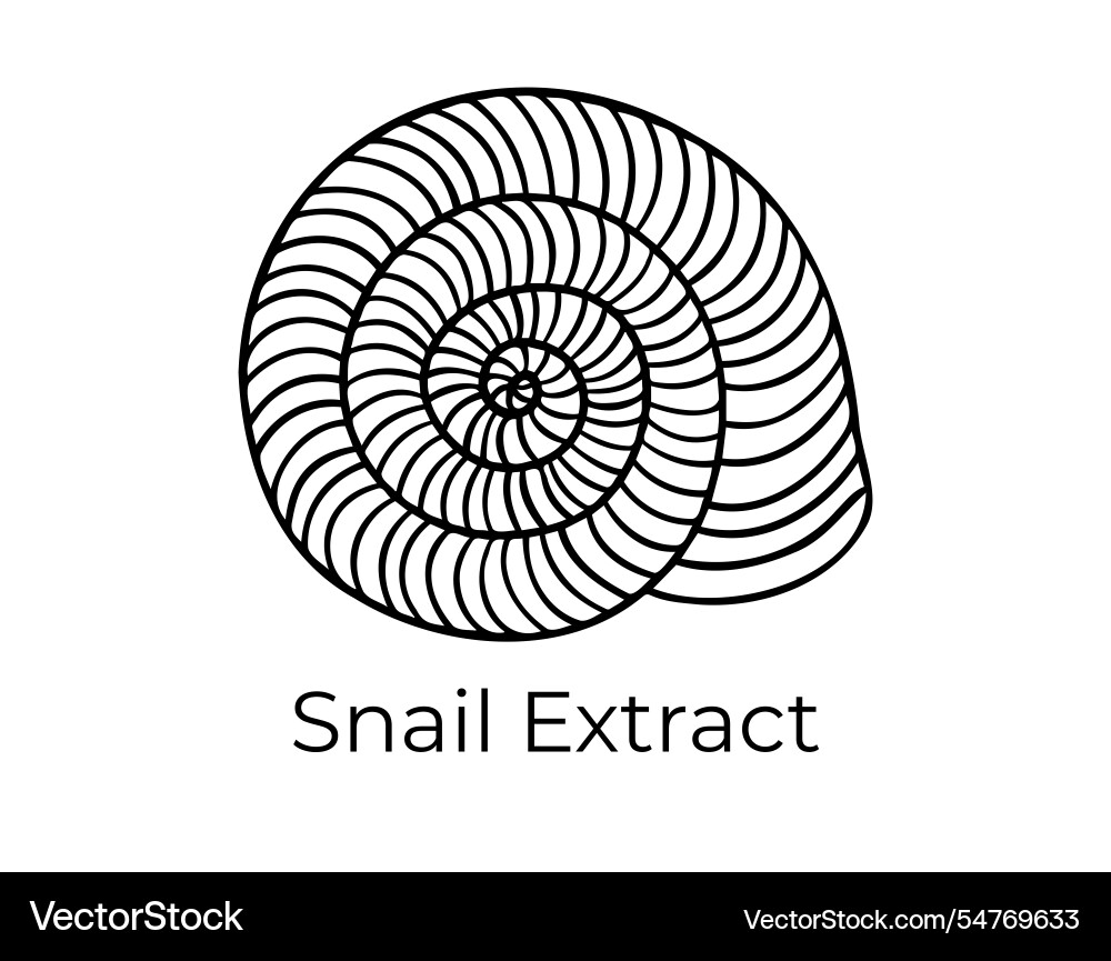 Snail shell doodle hand drawn icon outline Vector Image