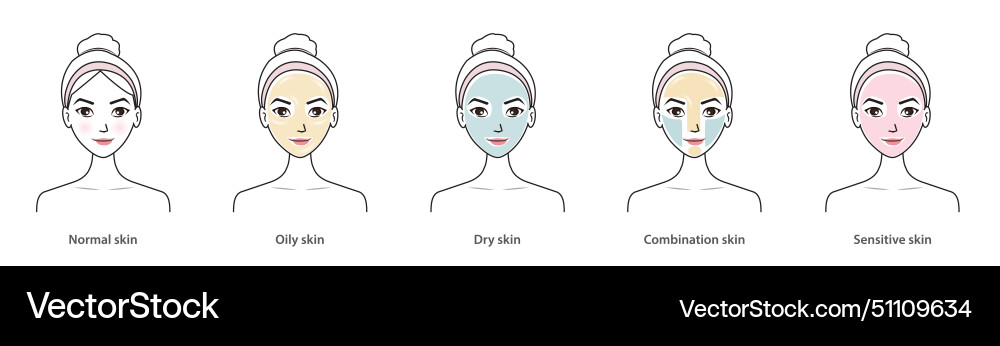 Cute woman with skin types set Royalty Free Vector Image