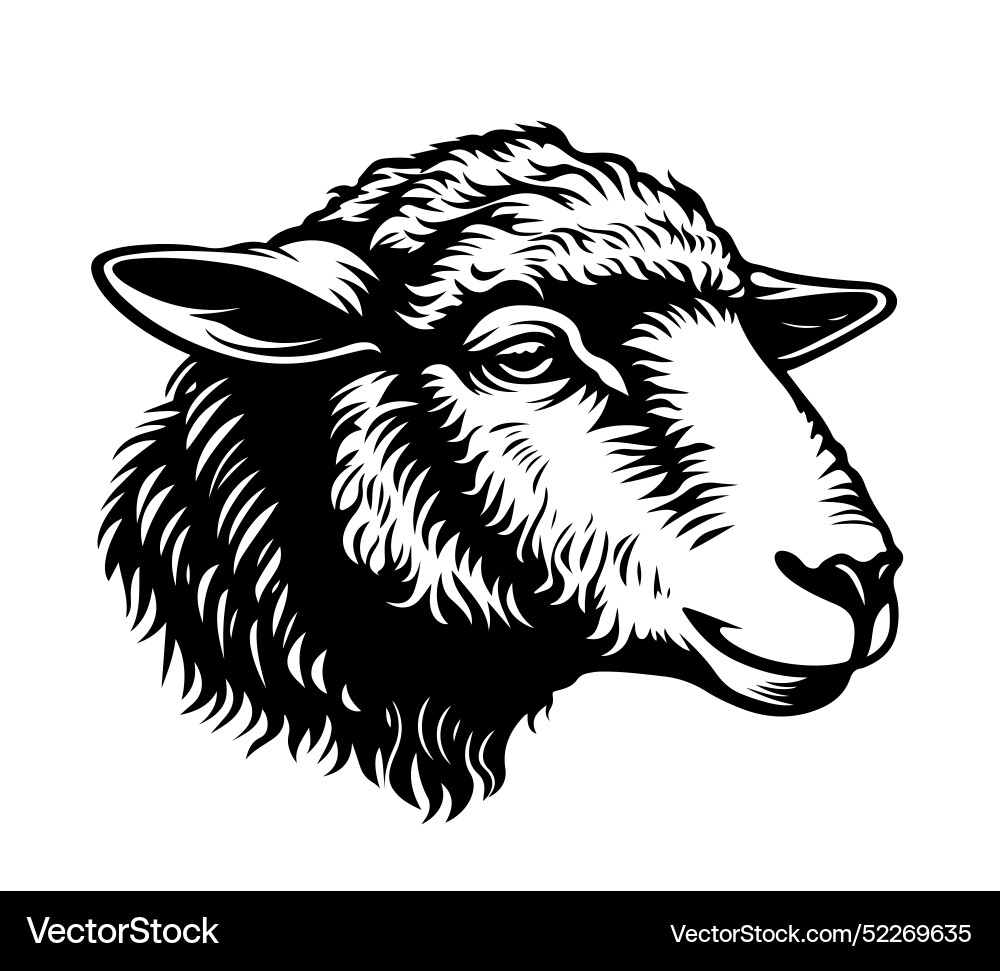 Hand drawn sheep in sketch style Royalty Free Vector Image
