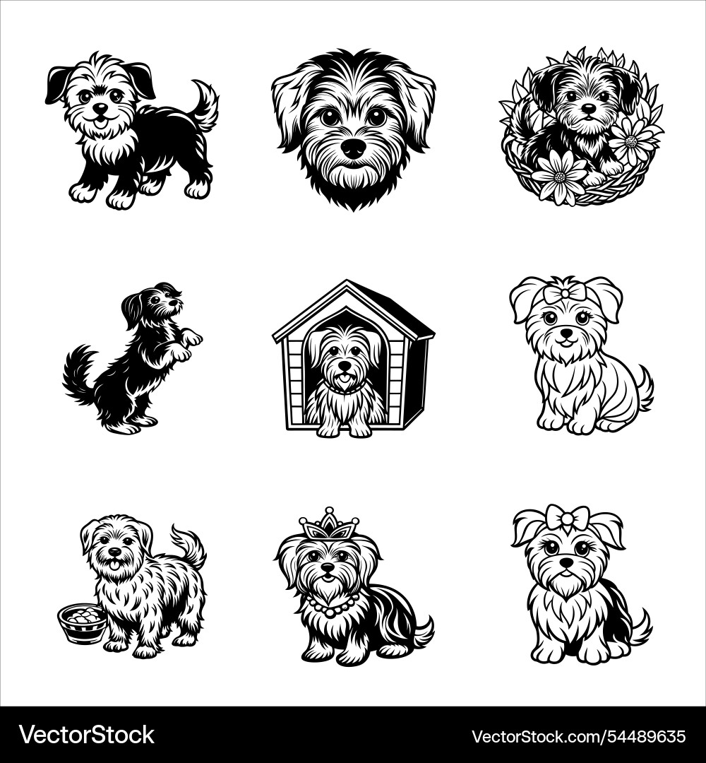 Maltese dog Royalty Free Vector Image - VectorStock