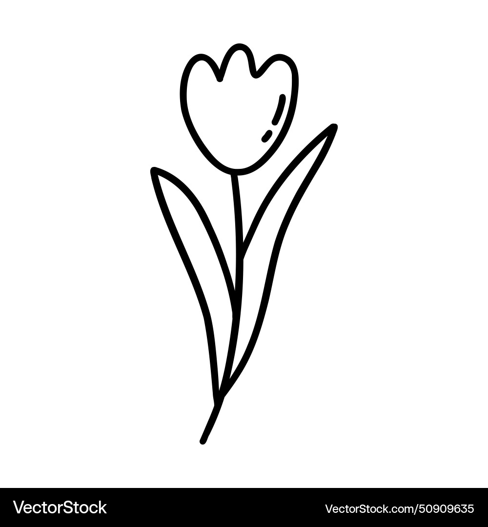 Tulip black and white doodle hand drawn Royalty Free Vector