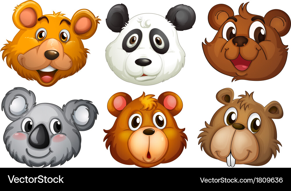 Six heads of bears Royalty Free Vector Image - VectorStock