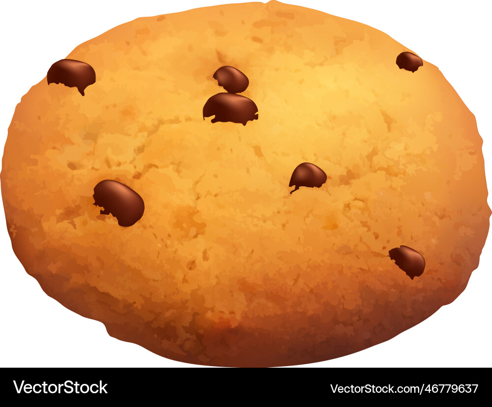 Realistic cookie Royalty Free Vector Image - VectorStock