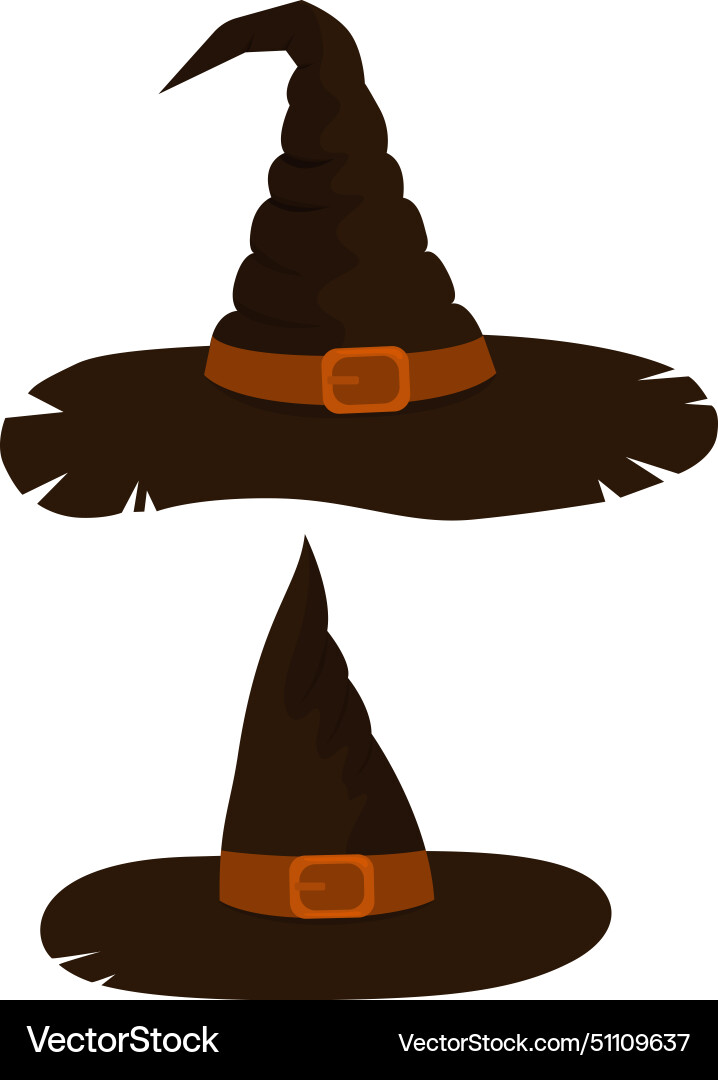 Witch hat Royalty Free Vector Image - VectorStock
