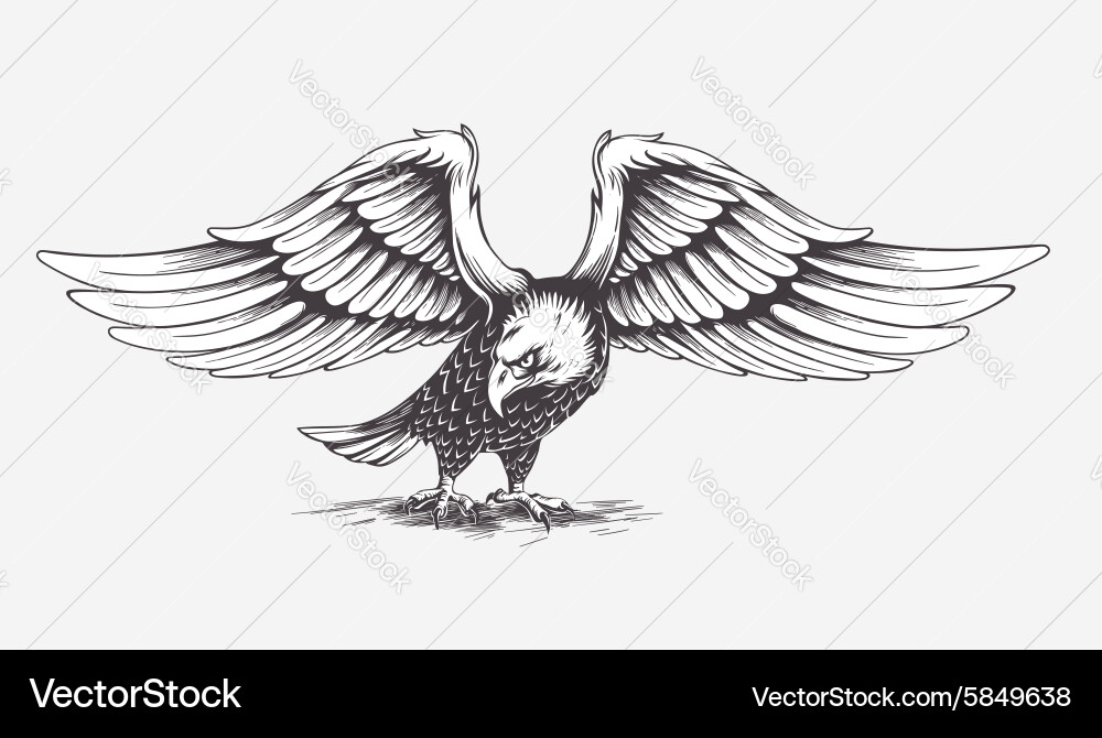 Detailed hand drawn eagle Royalty Free Vector Image