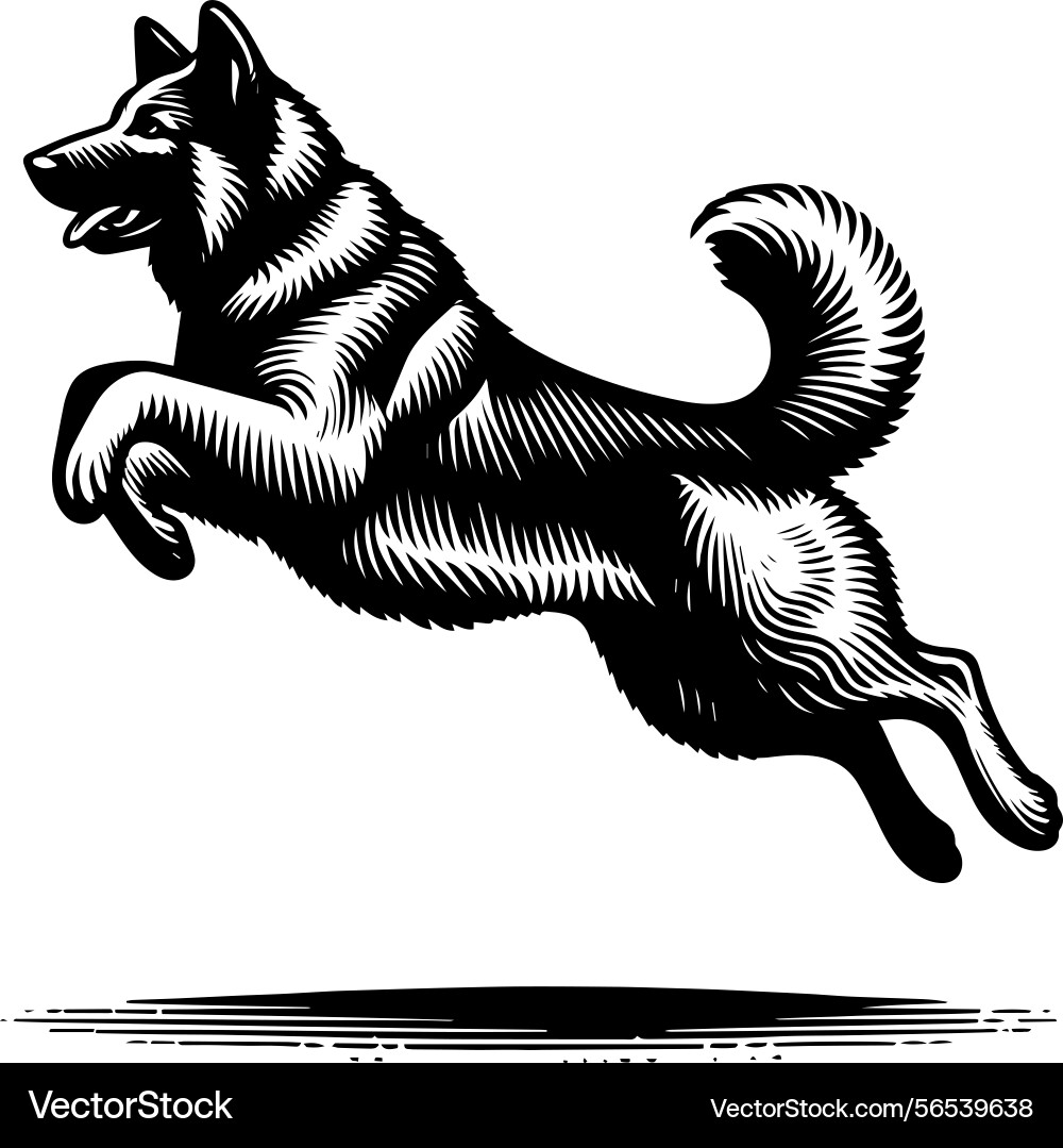 Simple german shepherd jumping icon vintage logo Vector Image