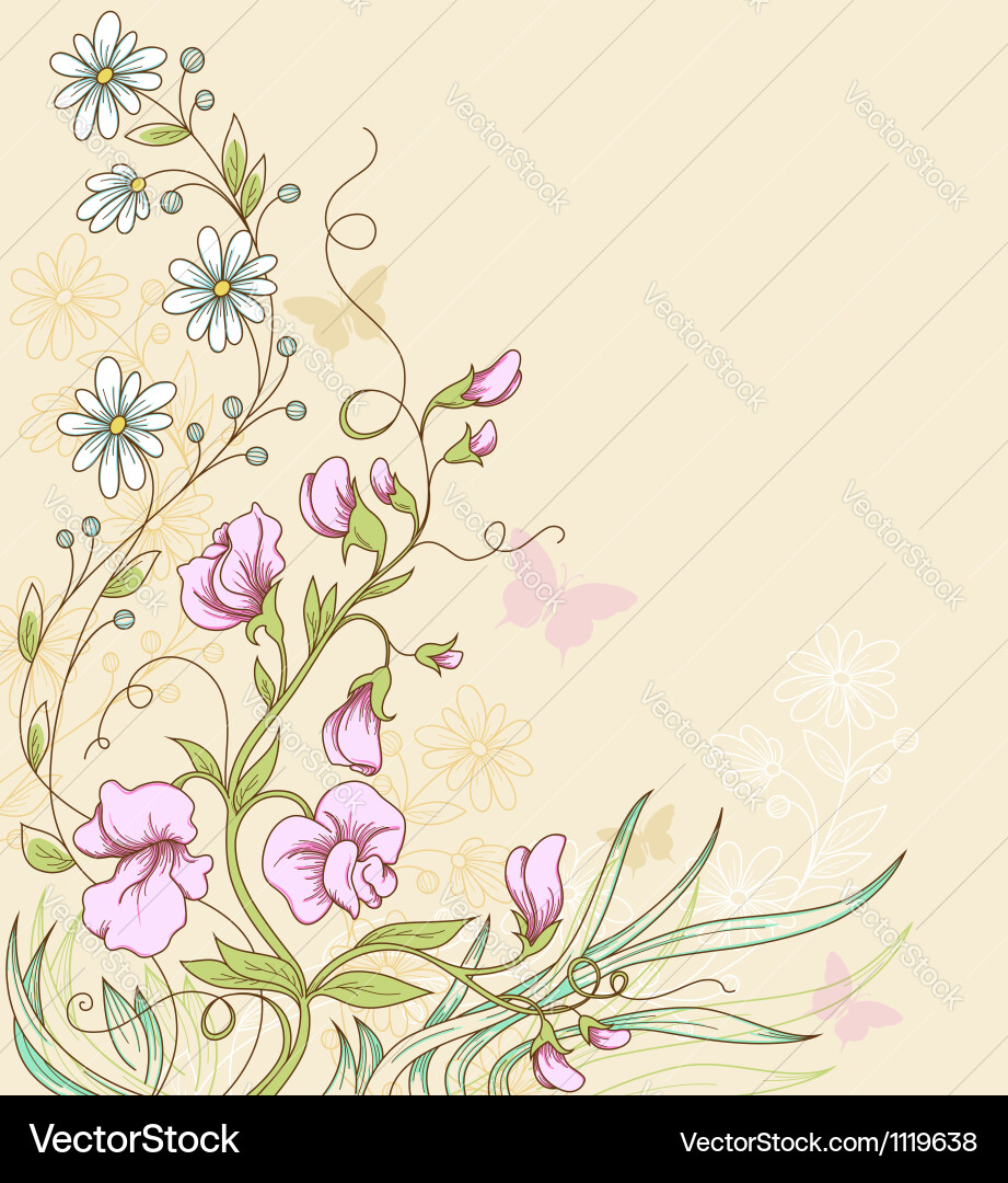 Sweet pea Royalty Free Vector Image - VectorStock