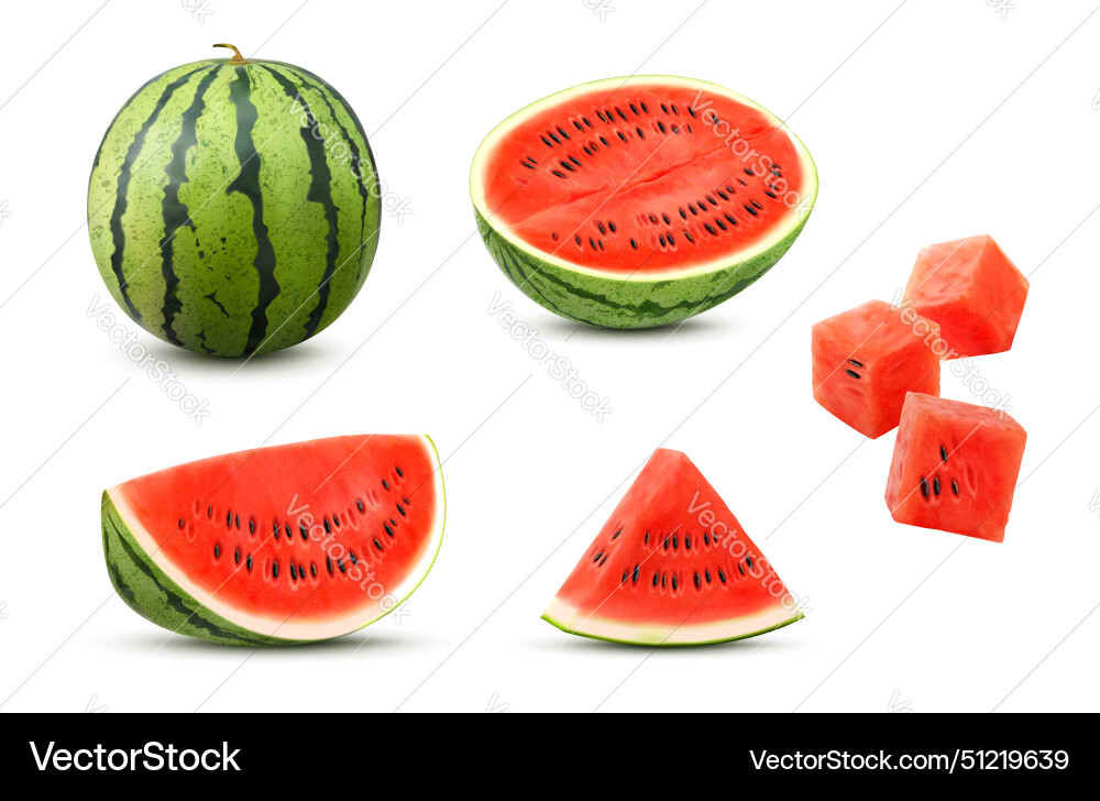3d realistic watermelon fruit whole and slice Vector Image