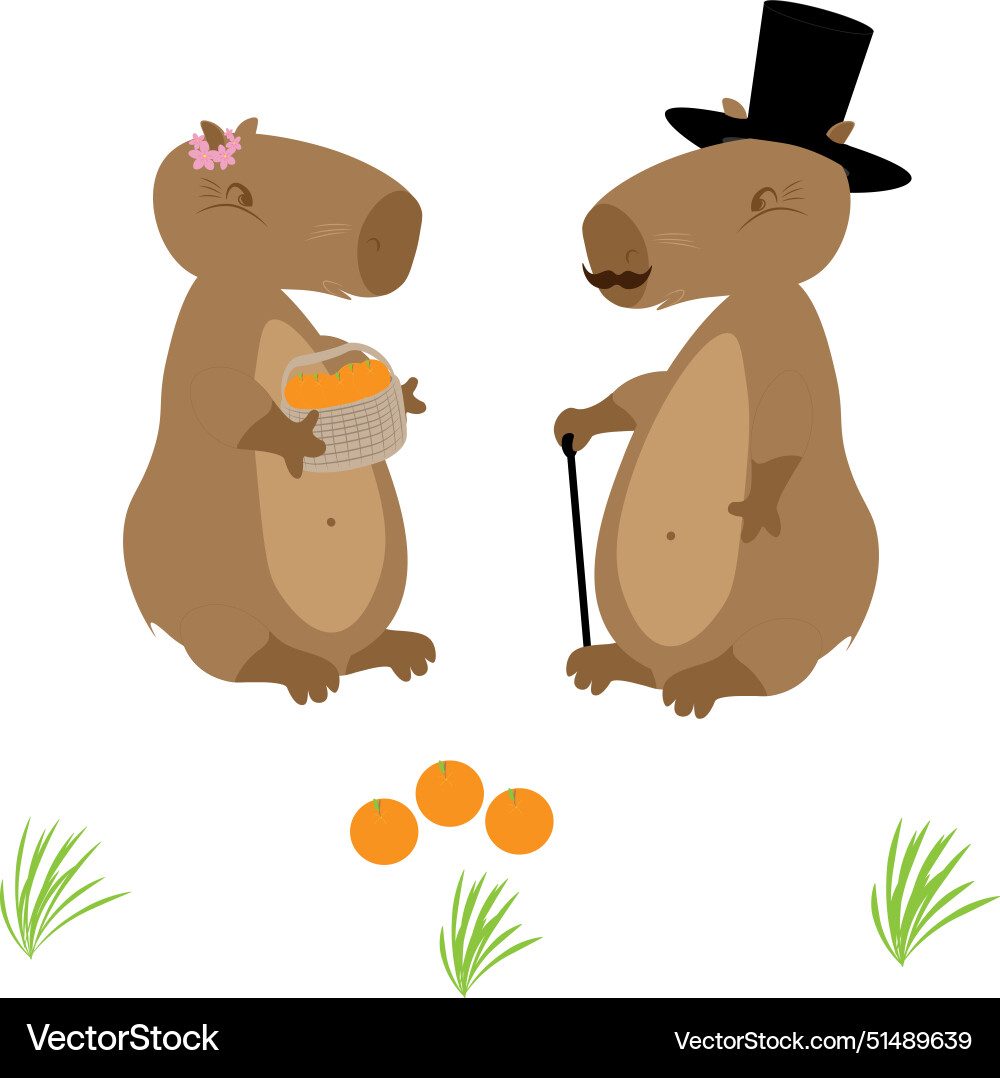 A capybara in hat and with mustache Royalty Free Vector