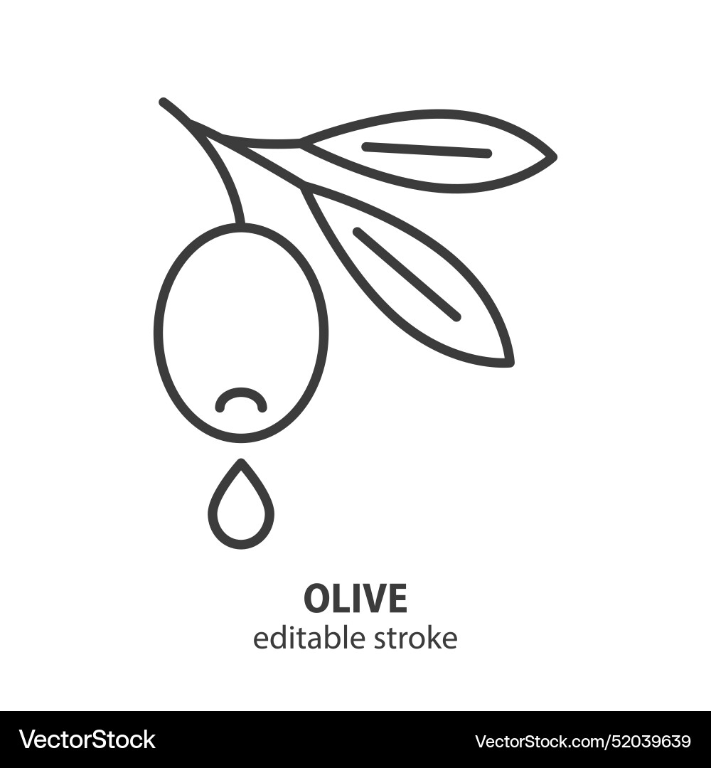 Olive branch with oil drop line icon symbol olive Vector Image