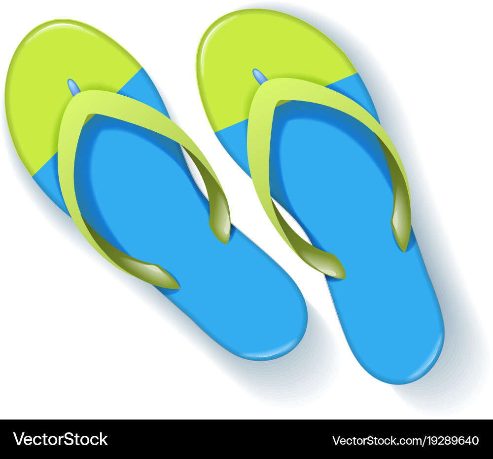 Realistic flip flops Royalty Free Vector Image