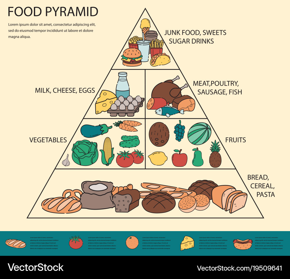 Lebensmittel-Pyramide Gesund essen Infografik Vektorbild