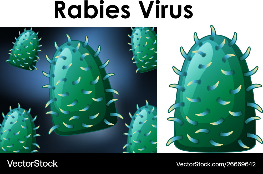 Close up isolated object virus named rabies Vector Image