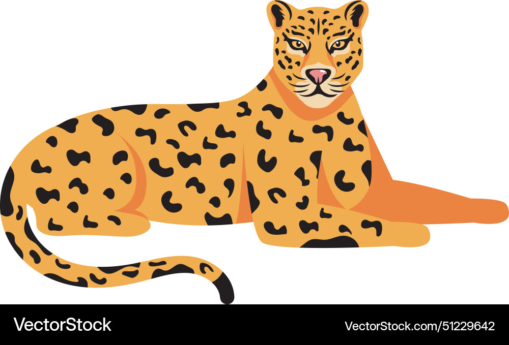 Leopard feline cartoon Royalty Free Vector Image