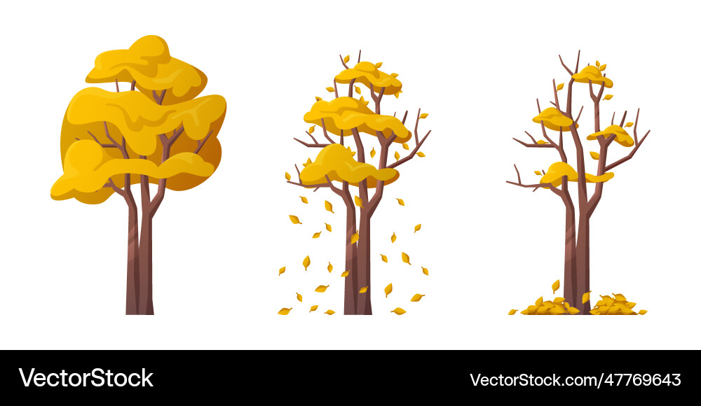 Autumn fall season yellow tree leaves falling down