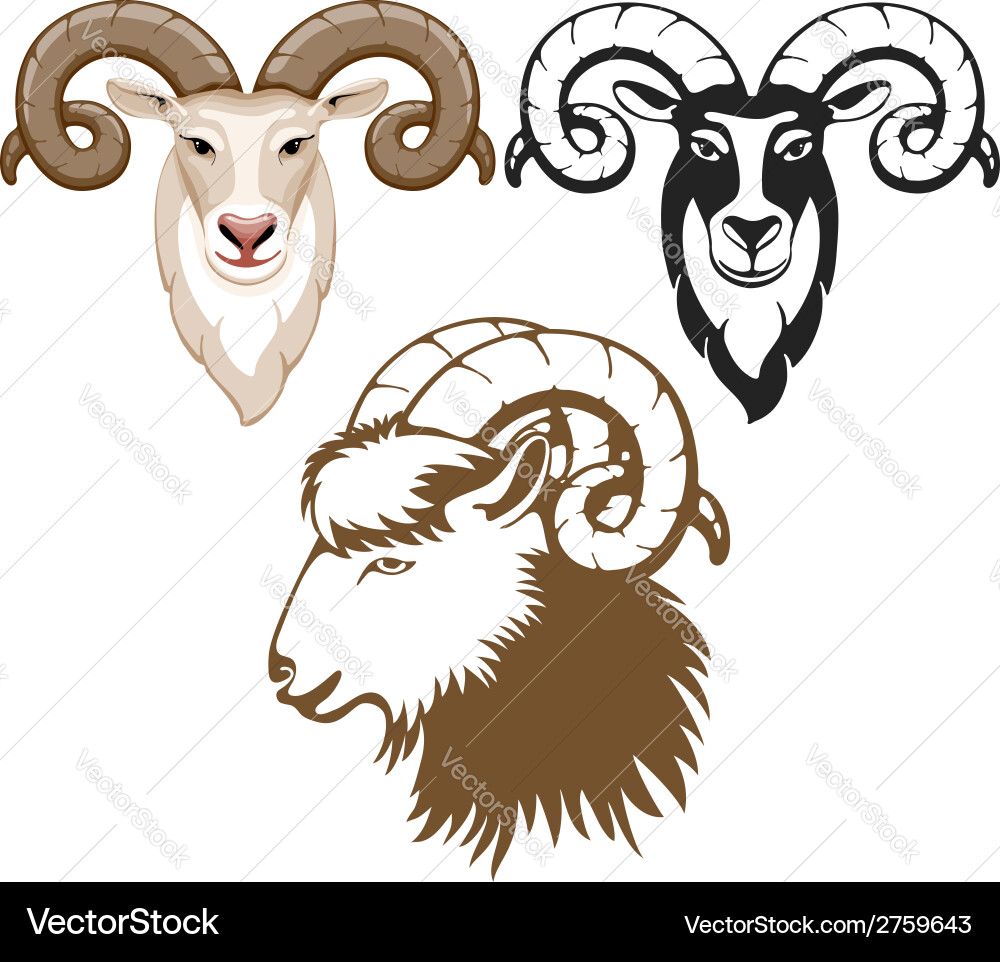Goat set Royalty Free Vector Image - VectorStock