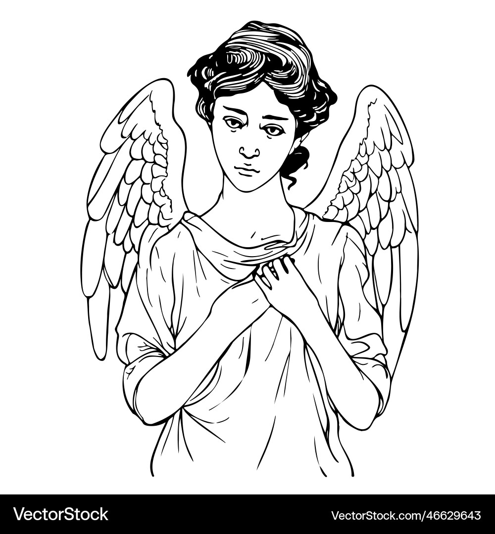 Folded Angel Wings Vector