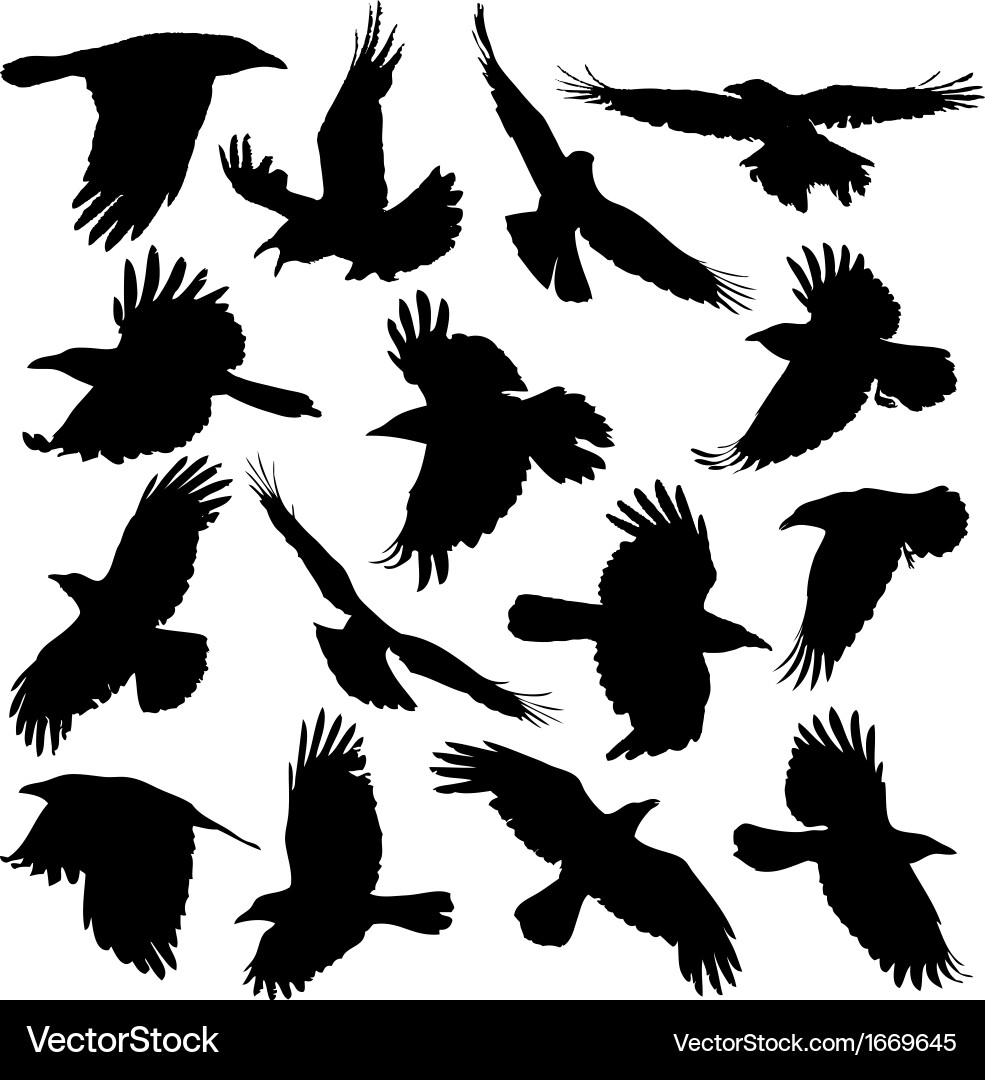 Crow Vector Images (over 15,000)