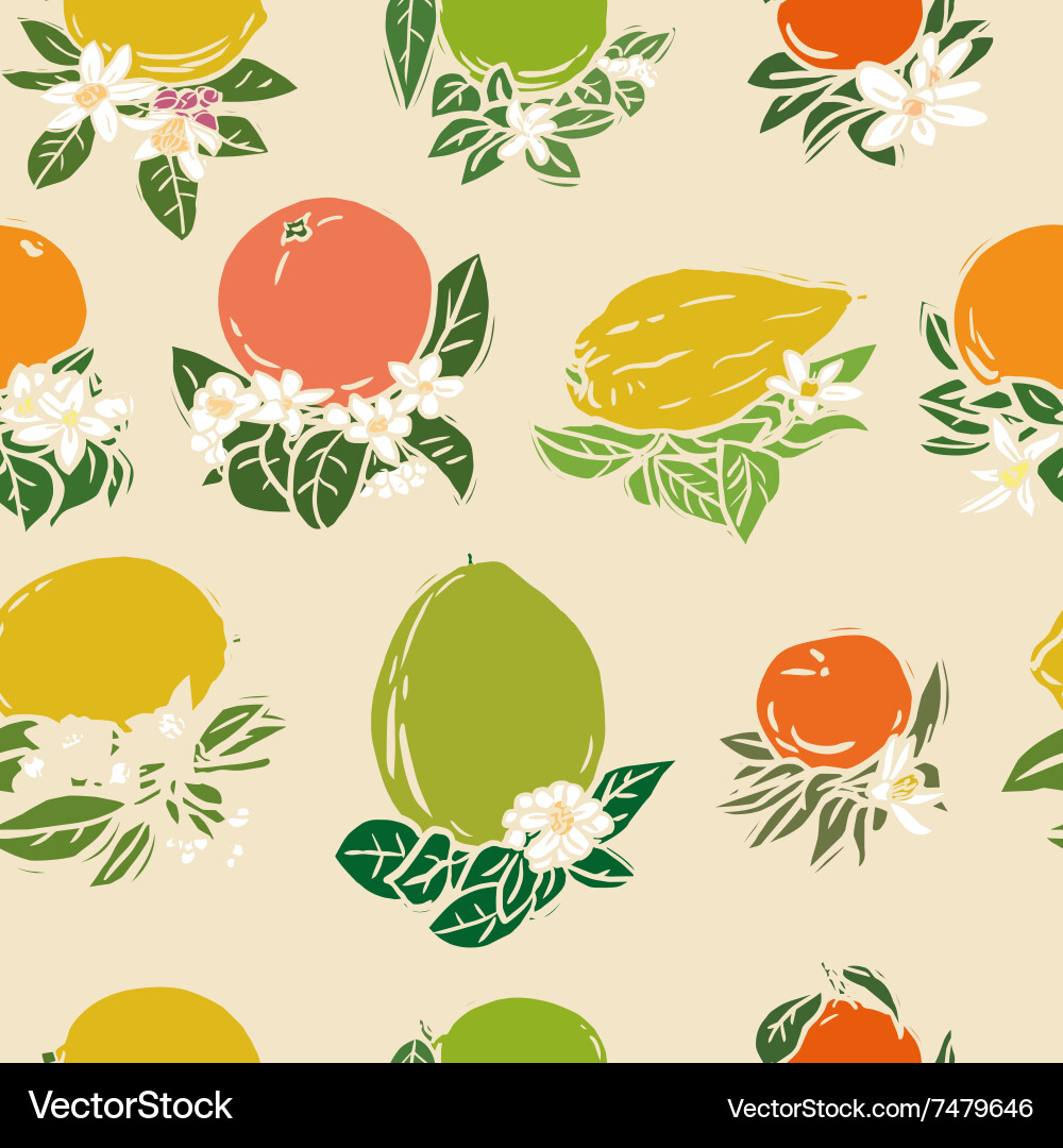 Various tropical citrus fruits Royalty Free Vector Image