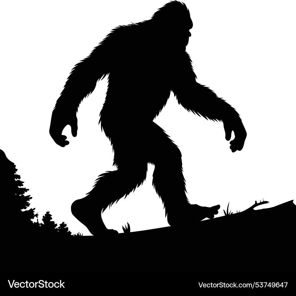 Bigfoot walking towards the forest Royalty Free Vector Image