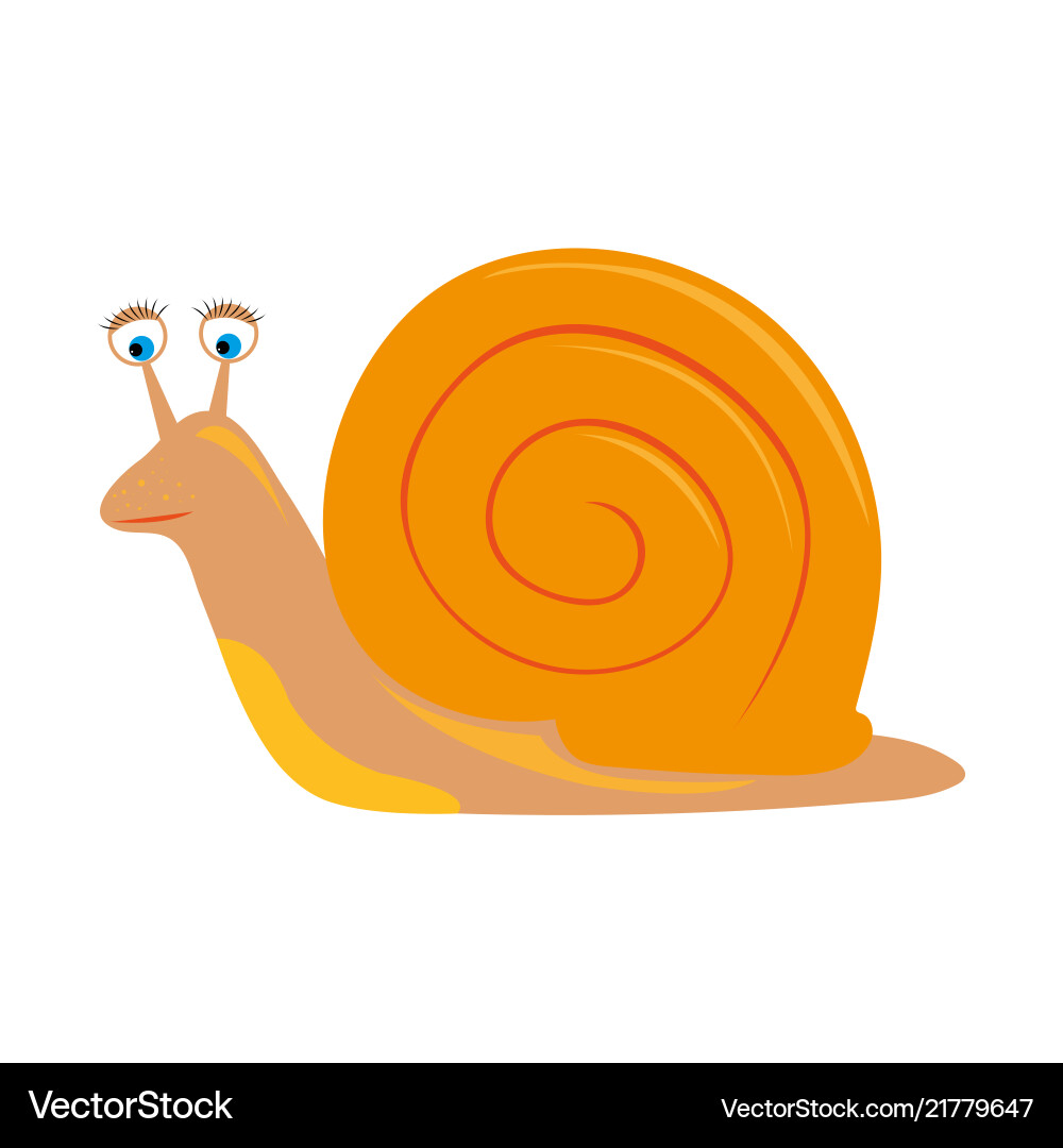 Cartoon snail on white background Royalty Free Vector Image